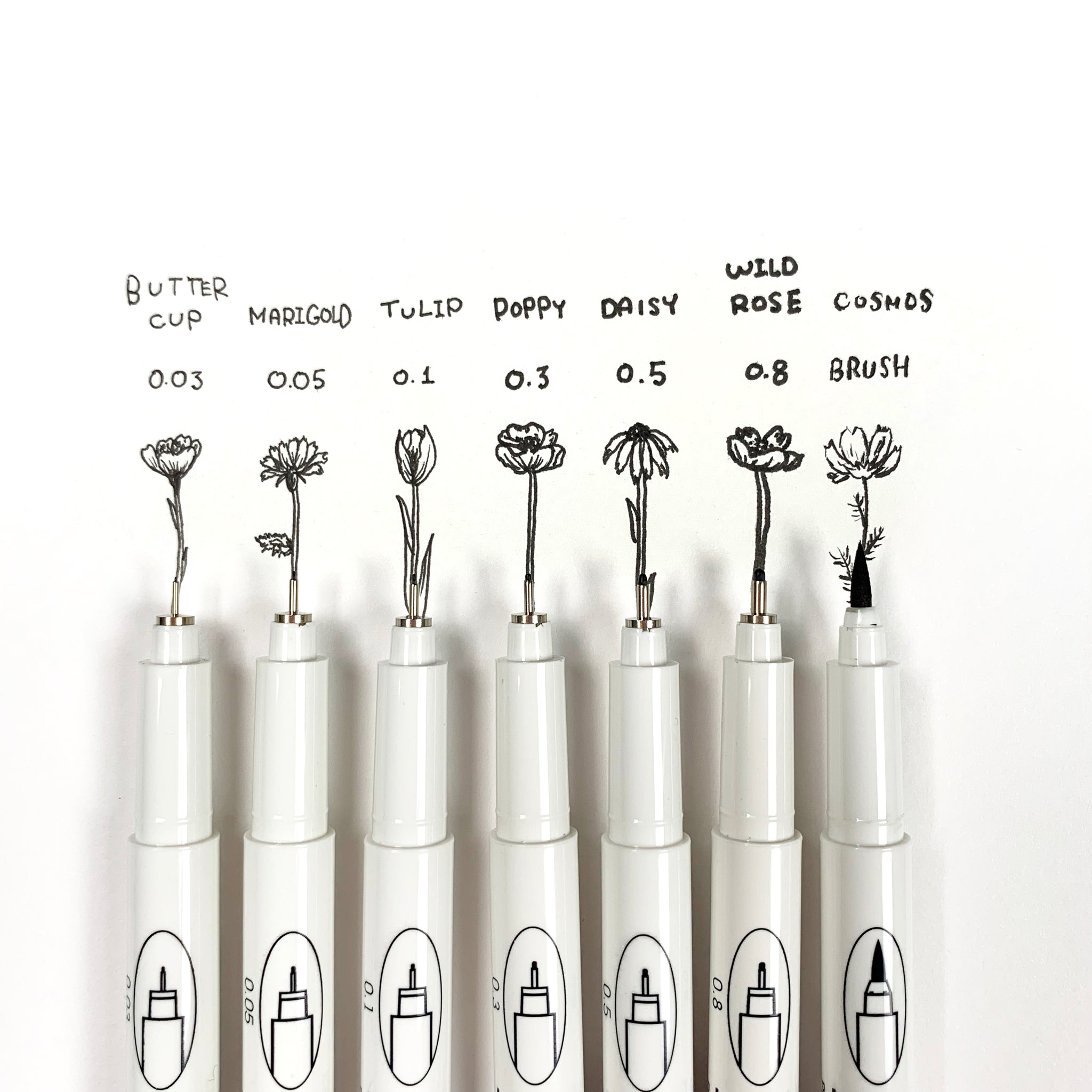 LePen Drawing – Lepen Store